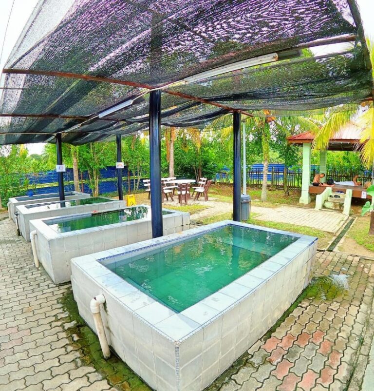 √ KOLAM AIR PANAS GADEK: Review & Harga Tiket 2024