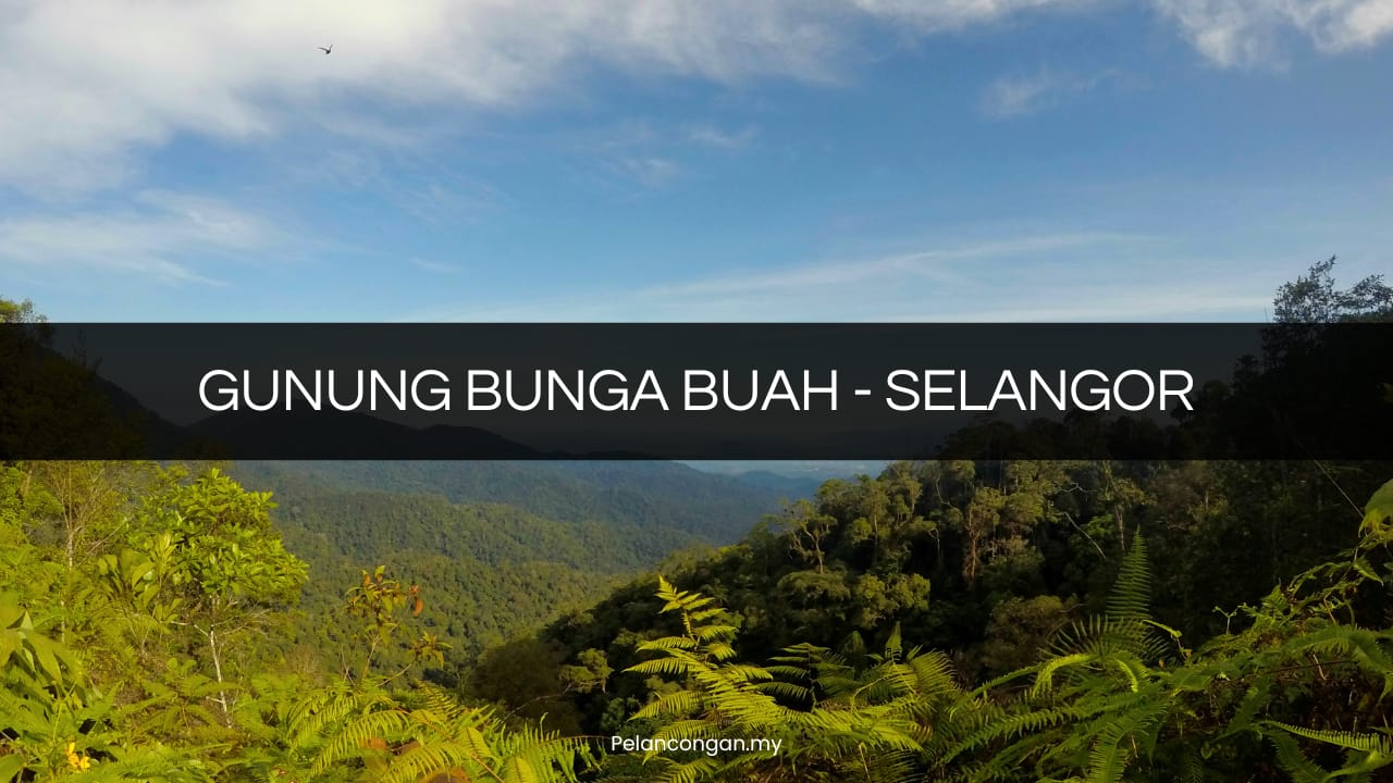 √ GUNUNG BUNGA BUAH: Tarikan, Aktiviti, Harga Tiket 2025